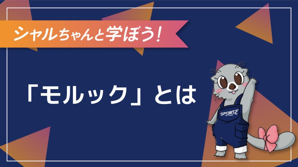 【3分解説】「モルック」とは?ルールや楽しみ方をわかりやすく解説!|sports For Social